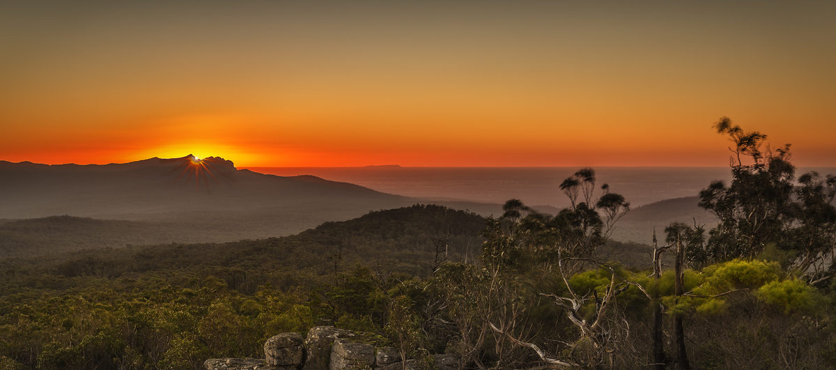 Emu Spirit - Natural Anti-inflammatory Healing Emu Oil Products – emuspirit